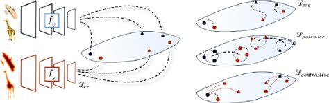 Figure 1 From Towards Shape Regularized Learning For Mitigating Texture