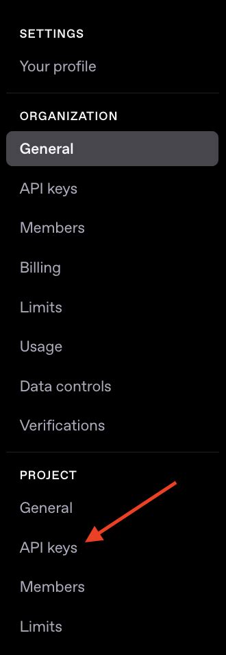 Setting Up A Typescript Environment For Openais Whisper Api Codesignal Learn