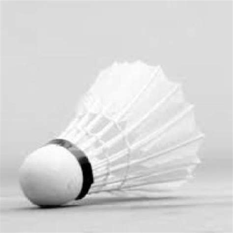 How To Use The Badminton Object Detection Api