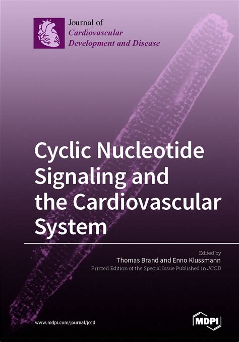 Cyclic Nucleotide Signaling And The Cardiovascular System Mdpi Books