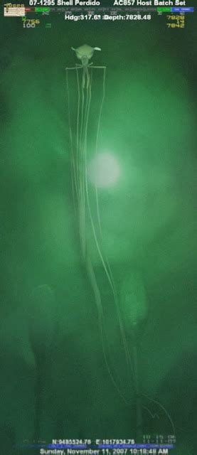 Phantoms And Monsters Pulse Of The Paranormal