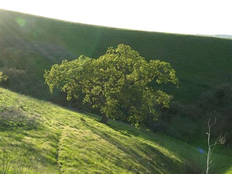 Rak Sakaria On Tumblr