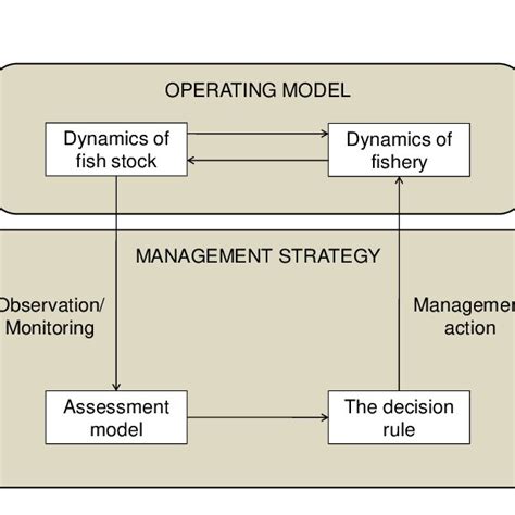 1 Schematic Overview Of The Mse Model Framework And The Different