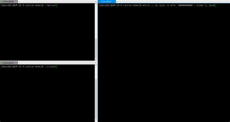 Linux 系统进程信号 详解上 阿里云开发者社区