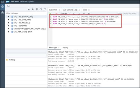 Sap Hana Cloud Analytic Privileges A Step By St Sap Community