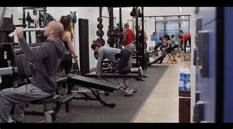 Physical Equilibriums Exciting Move To New Heights Physical