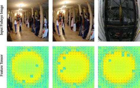 Figure From DaFIR Distortion Aware Representation Learning For Fisheye Image Rectification