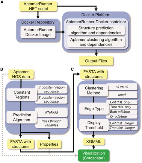 Aptamerrunner An Accessible Aptamer Structure Prediction And Clustering Algorithm For