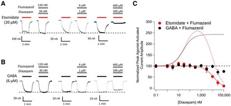 The Impact Of Flumazenil On Diazepam Modulation Of 20 μm Download