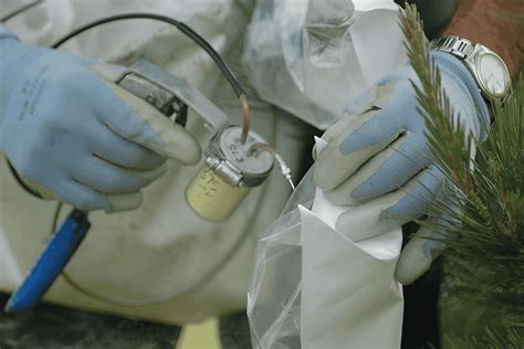 The Science Behind Tree Breeding And Sustainable Forestry