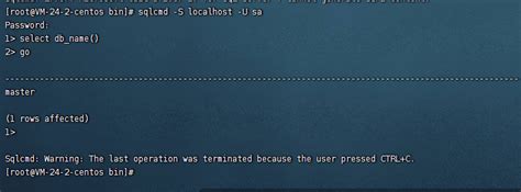 linux centos7安装sql server 看完这篇让你无脑安装sql server echo sw 博客园