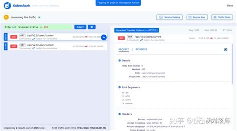 一文解决kubernetes的api流量查看器 Kubeshark 知乎