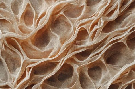 Microstructure Of Natural Materials Showcases Intricate Patterns And