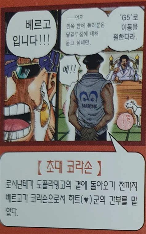 투디갤 원피스 코라손 3대는 배신 없었어도 아수라장느낌