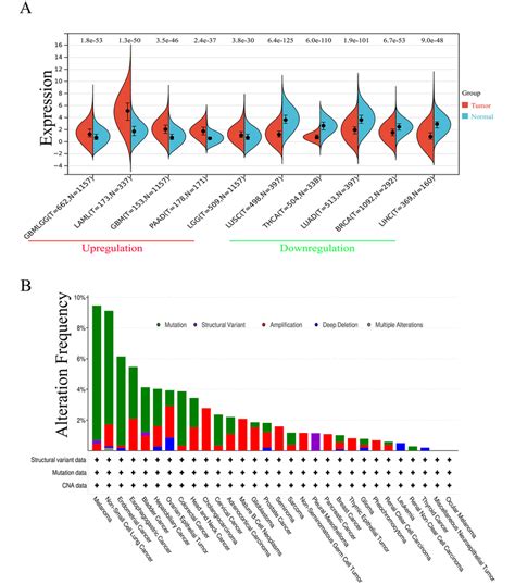A Upregulated And Downregulated Mrna Expression Of Hgf In Pan Cancer Download Scientific