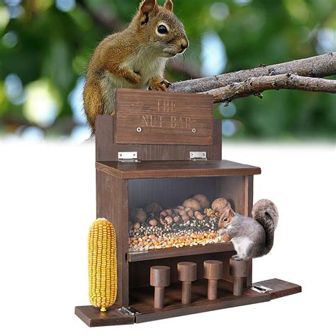 Outdoor Tree Squirrel Feeder Outdoor Squirrel Picnic Table Feeder