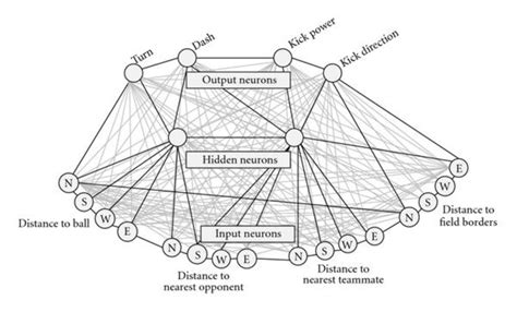 A Possible Wiring Of The Neural Network Showing The Groups Of Inputs Download Scientific