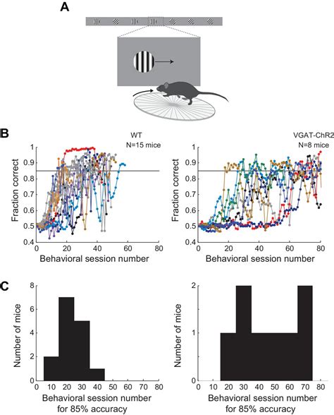 Figures and data in First spikes in visual cortex enable perceptual discrimination | eLife
