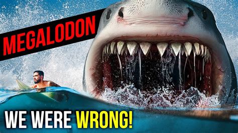 Megalodon Didnt Look Like Giant White Shark Megalodon White Sharks Shark