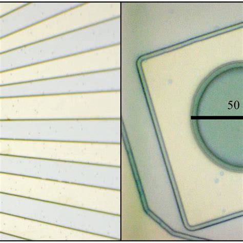 Cyclic Voltammetry Of Sputtered Ruthenium Oxide 1 3 O2 H2o Gas Ratio Download Scientific