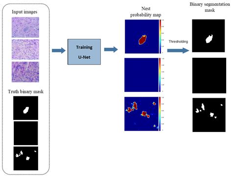 Deep Learningbased Segmentation Of Trypanosoma Cruzi Nests In Histopathological Images