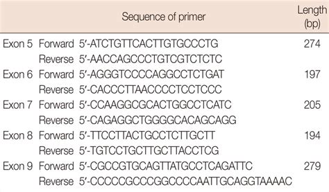 Primer Sequence Used To Amplify P53 Gene Download Scientific Diagram
