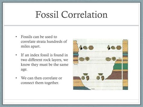 Ppt Relative Dating Of Strata Powerpoint Presentation Free Download