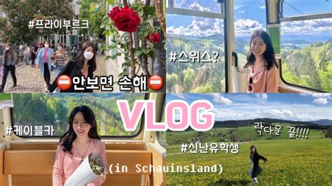 독일 유학생 Vlog 스위스 같은 독일💚 최애 장소 발견 꽃집에서 나에게 주는 선물🌼 코로나19 슈넬테스트 락다운