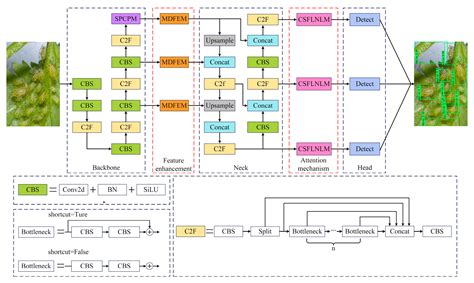 Smc Yolo A High Precision Maize Insect Pest Detection Method