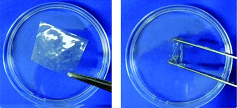 Water Solubilization Of The Polyimide Film Derived From Download