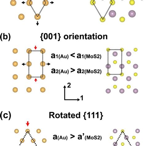 Color Online The Two Layer Mos 2 System Top View Only The Lattice