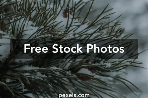 Ecosystem Examples Photos Download The Best Free Ecosystem Examples