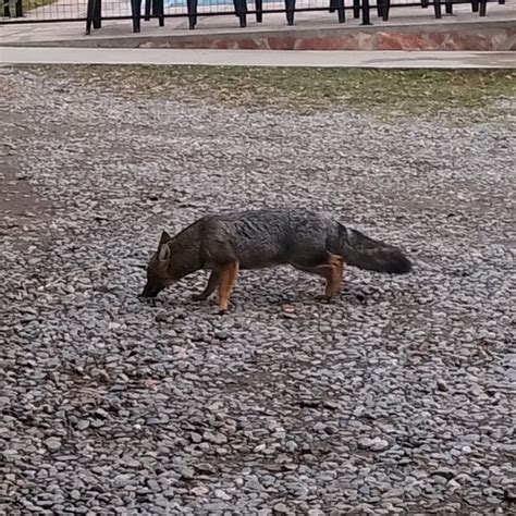 Ulises Miranda Youtube