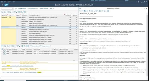 Onapsis Control Secure Sap Application Development