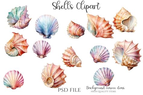 Premium Ai Image A Poster For Shell Shells And Shells