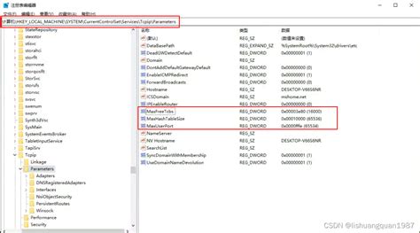 Go程序使用tcp短连接报：only One Usage Of Each Socket Address