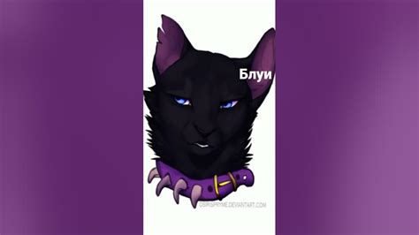 Эдит кв листвичка огнезвёзд бич синяя звезда 🌟 КВ котывоители Youtube