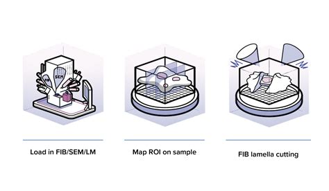 Using Integrated Fluorescence Light Microscopy To Improve The Cryo Electron Tomography Workflow