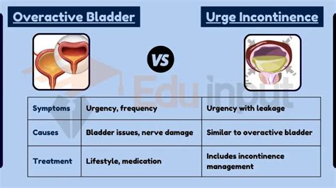 What Is The Difference Between Overactive Bladder And Urge Incontinence