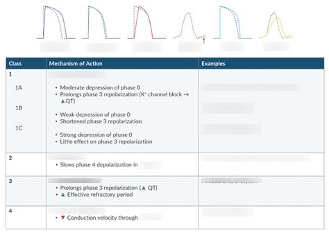 Antiarrhythmics Diagram Quizlet