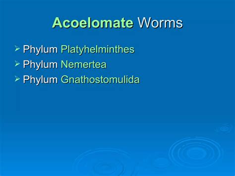 Flatworms Ppt