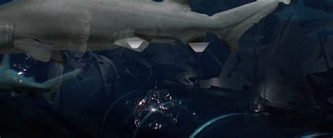 Jaaws 3 1983 Movv Vie Eporner