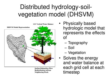 ppt forest hydrology powerpoint presentation free download id 1298210