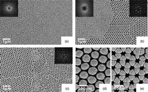 a shows a top view sem image of si nanorods download scientific diagram