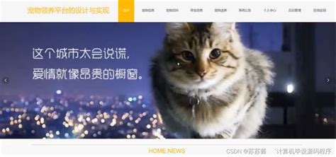 [独有源码]java jsp宠物领养平台的设计与实现ddbvh规划与实现适合自己的毕业设计的策略 csdn博客