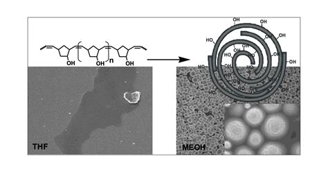 Assembly Of Short Chain Amphiphilic Homopolymers Into Well Defined Particles Langmuir