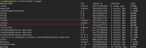 docker镜像列表中的 是什么镜像 拾月凄辰 博客园