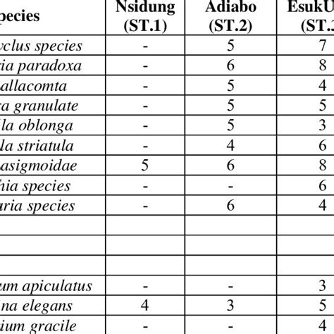 Summary Of The Spatial Distribution Of The Major Phytoplankton In The Download Scientific