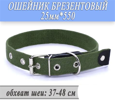 Ошейник брезентовый 25 мм (37*48см) купить на OZON по низкой цене ...