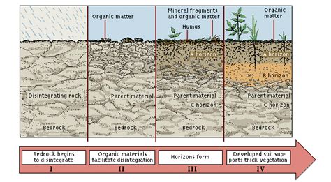 AGRICULTURAL SCIENCE FOR JSS TWO LESSON ONE MEANING OF SOIL AND IT S PHYSICAL COMPOSITION